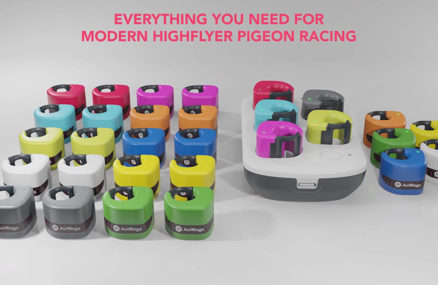 AviRings - modern approach to the pigeon racing sport